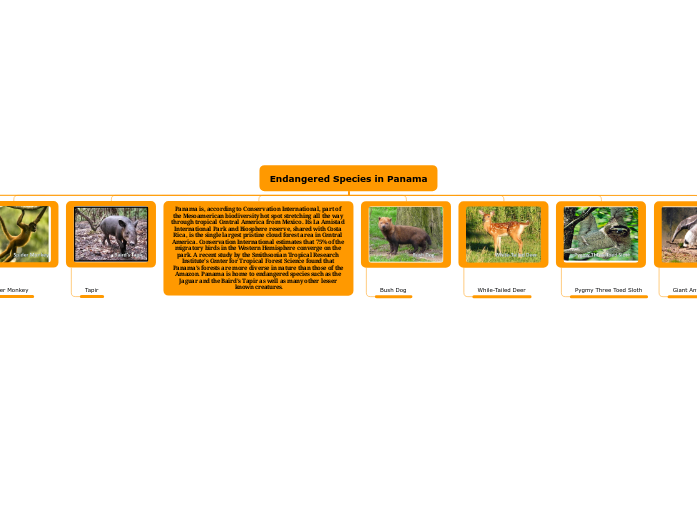 Endangered Species in Panama - Mind Map